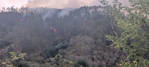 Fuego por más 5 días consume montañas La Sierra de Jánico